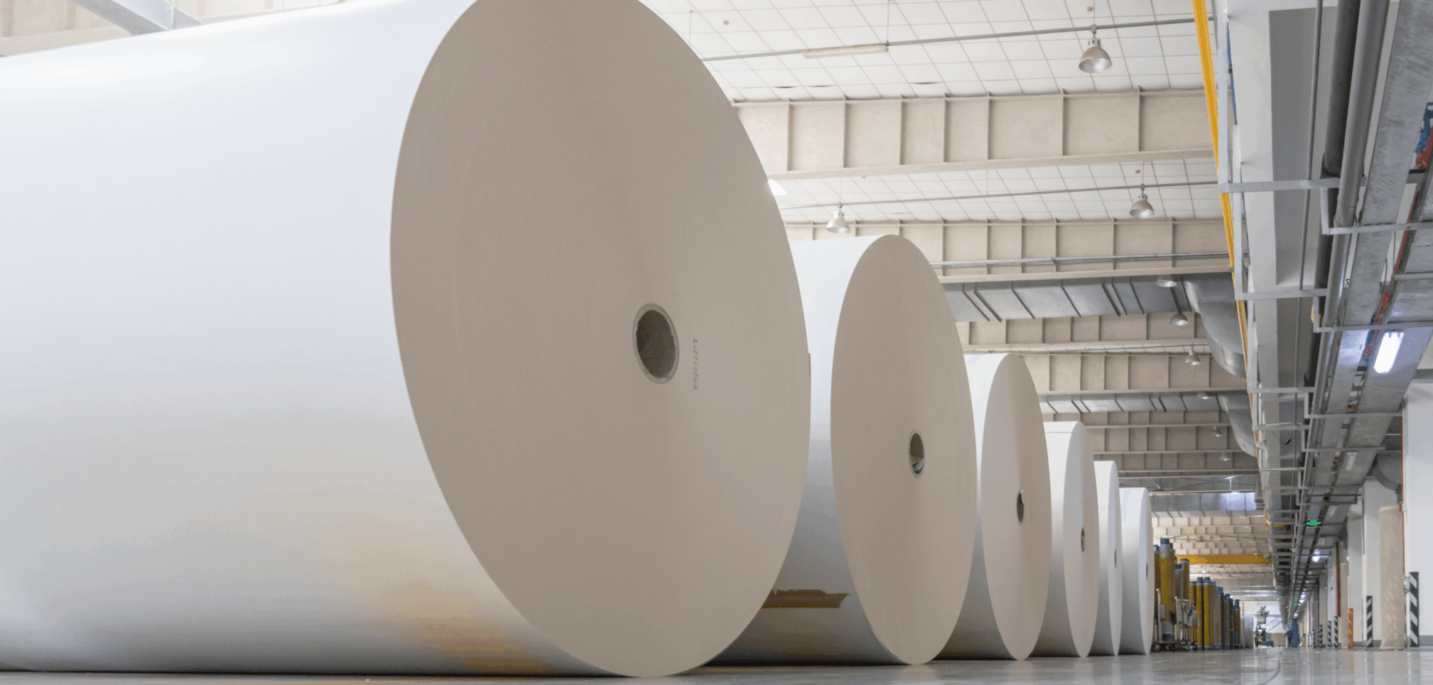 Olin Chlor Alkali - Global Experience & Expertise